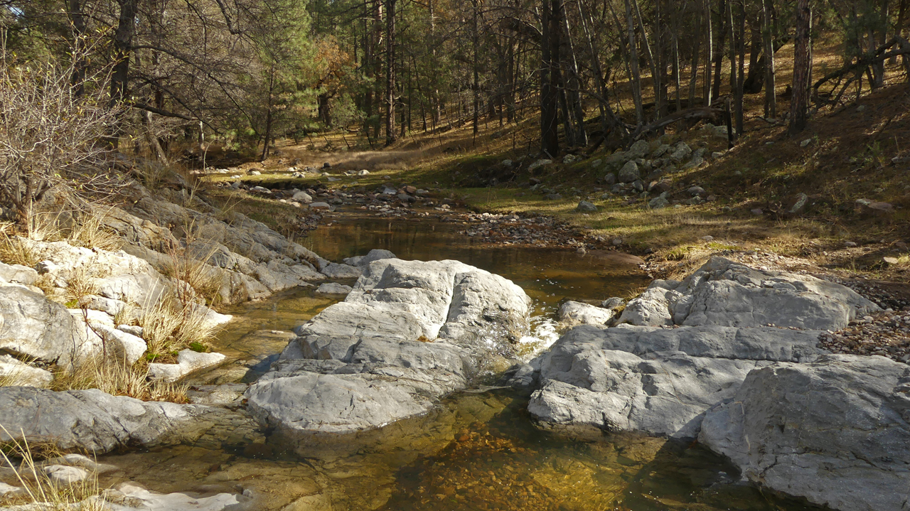 Gila River Update - Upper Gila Watershed Alliance